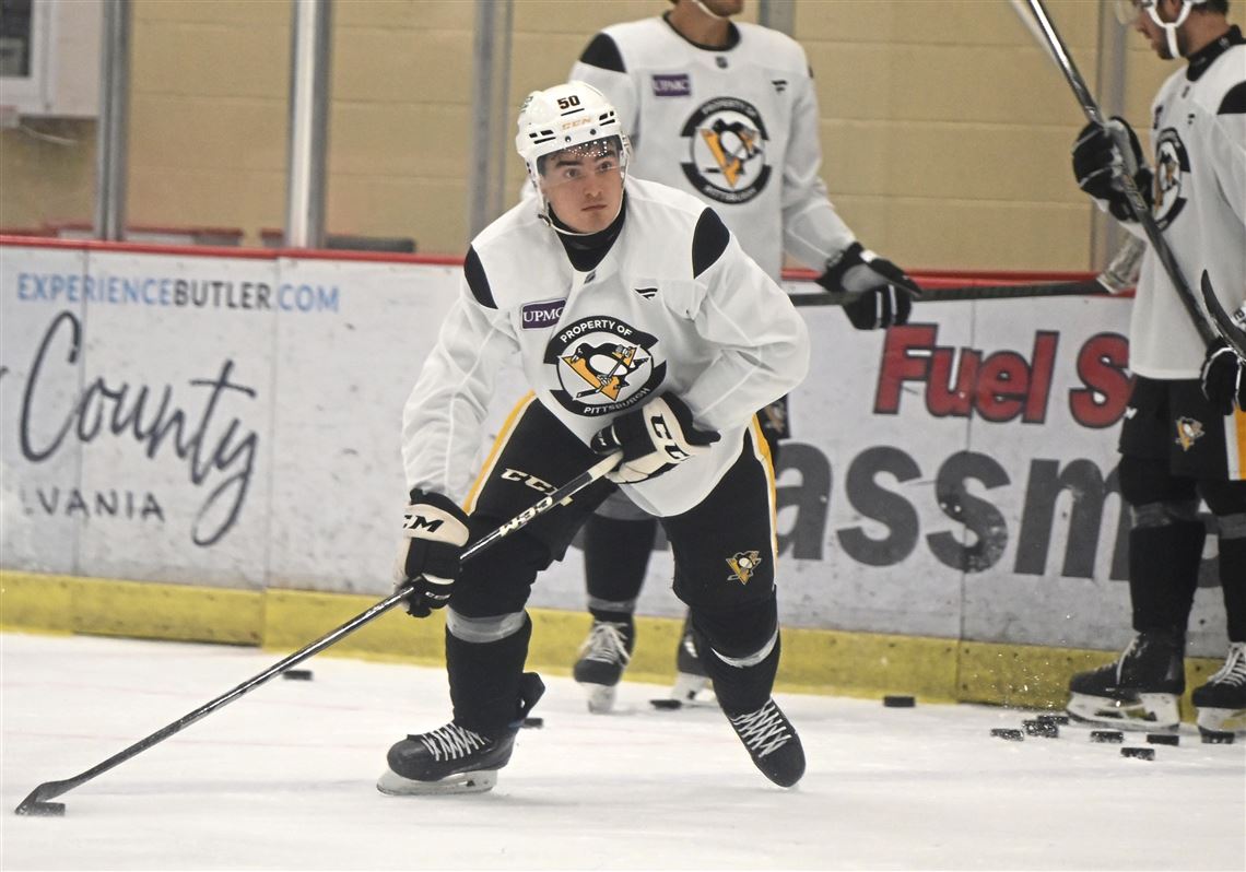 How a 'unique' connection with a Penguins scout helped Finn Harding ...