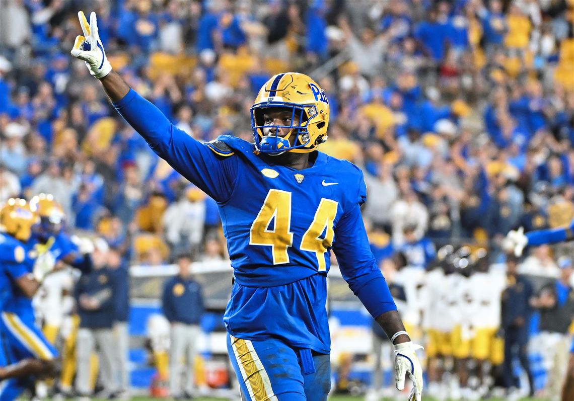 Pitt football preview: Defensive ends made progress last season, but ...
